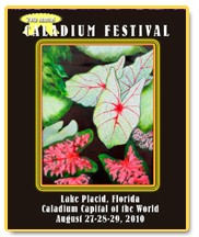 Lake Placid Florida Caladium Festival